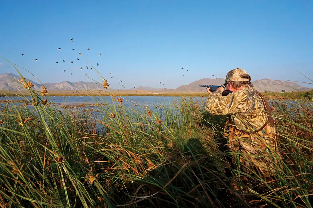 Boxall & Edmiston | Shooting Sportsman Magazine