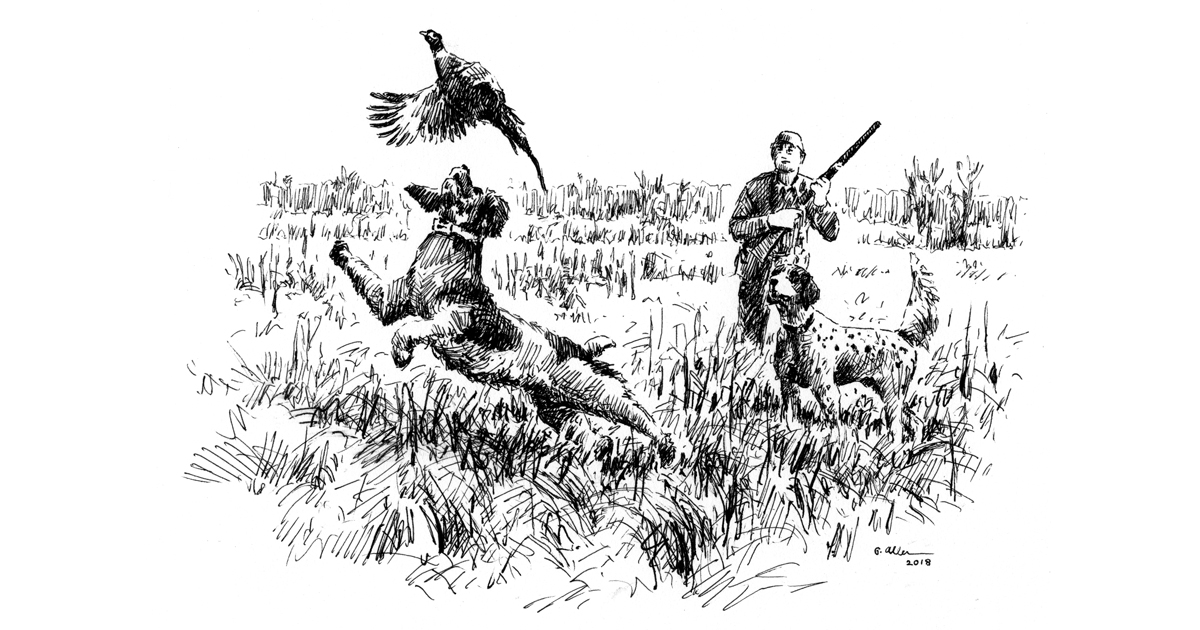 Duck Hunting Dog Drawings