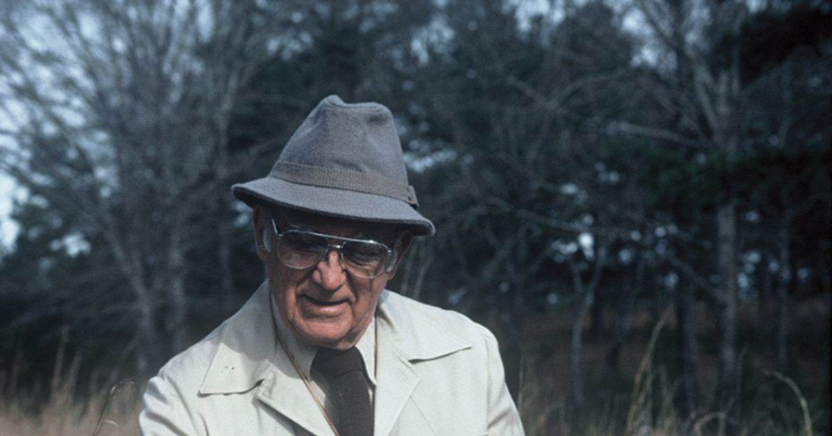 Elhew Kennels - Elhew’s End | Shooting Sportsman Magazine