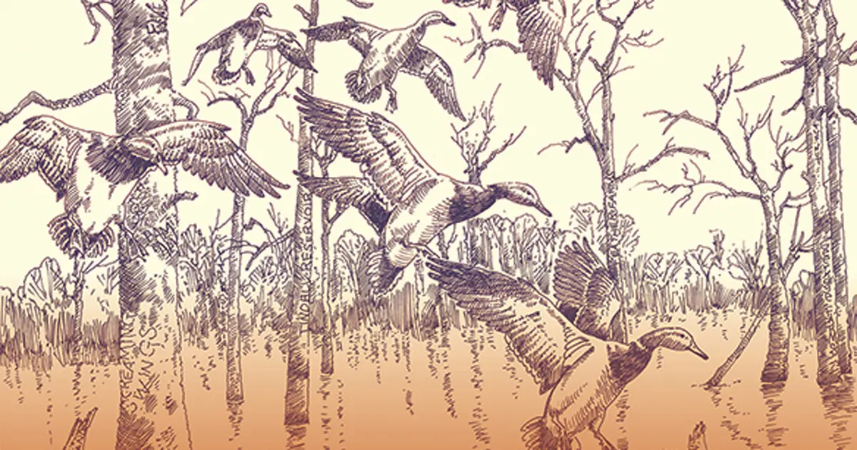 Wingshooting Books - The Bookshelf | Shooting Sportsman Magazine