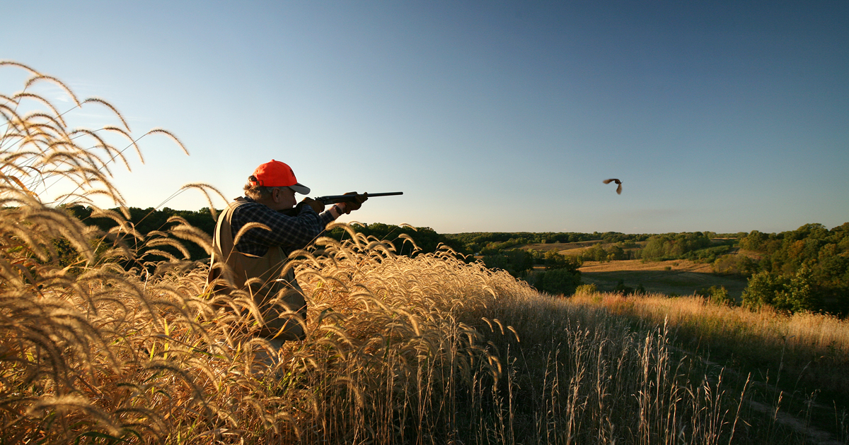 Wingshooting - Solving Mystery Misses | Shooting Sportsman Magazine
