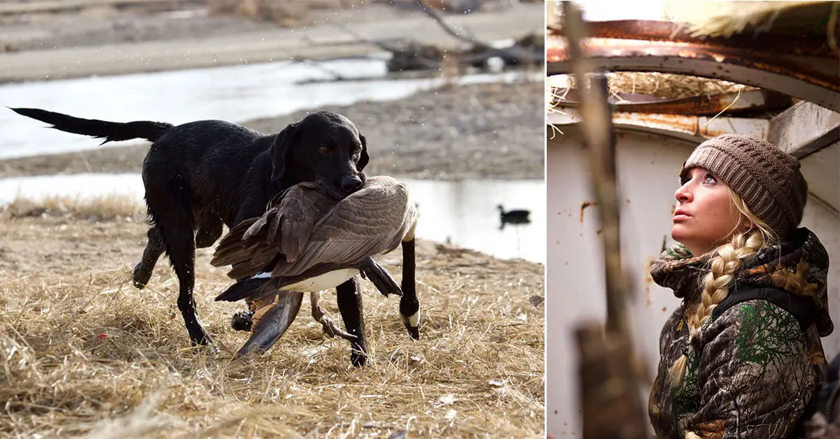 South Dakota Pheasant Hunting | Signature Lodge by Cheyenne Ridge