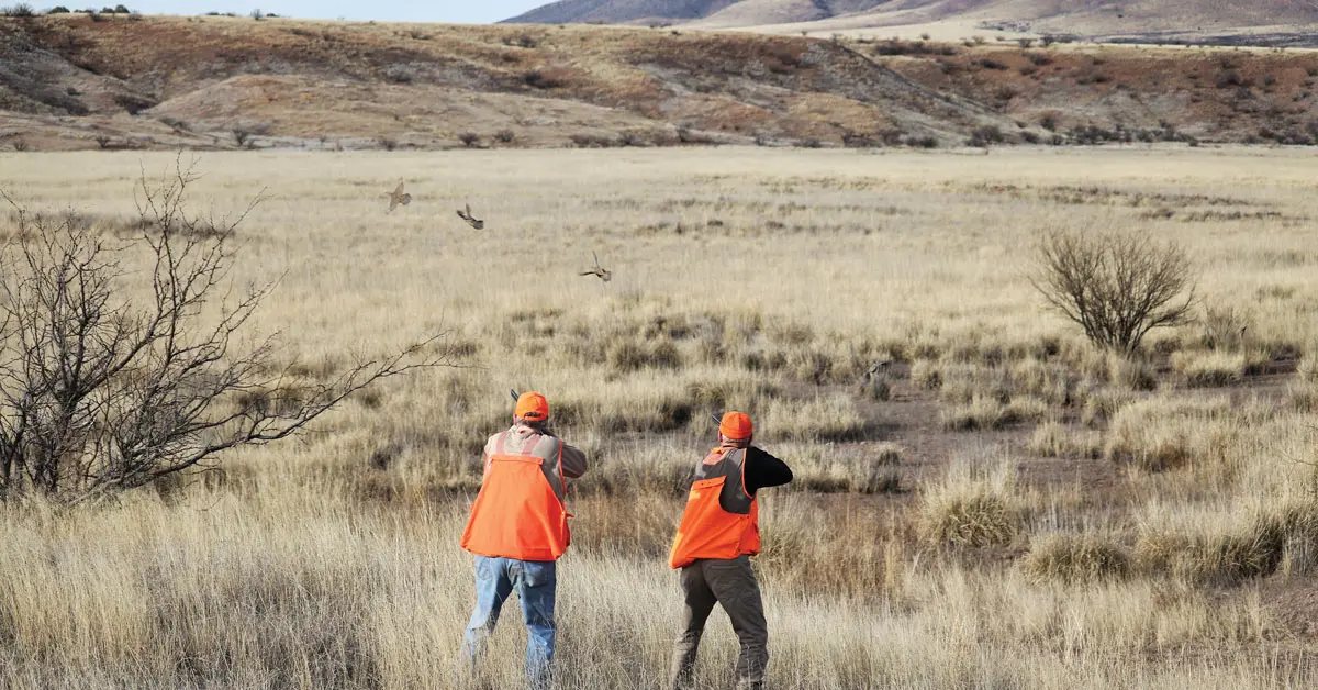 Classic Bird Hunts - Where the Wild Quail Are - Shooting Sportsman