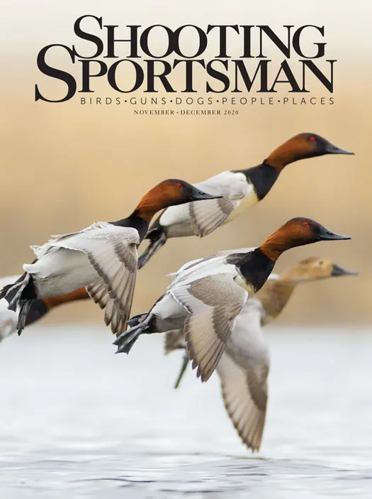 Multitool Guide - Tooling Up! | Shooting Sportsman Magazine