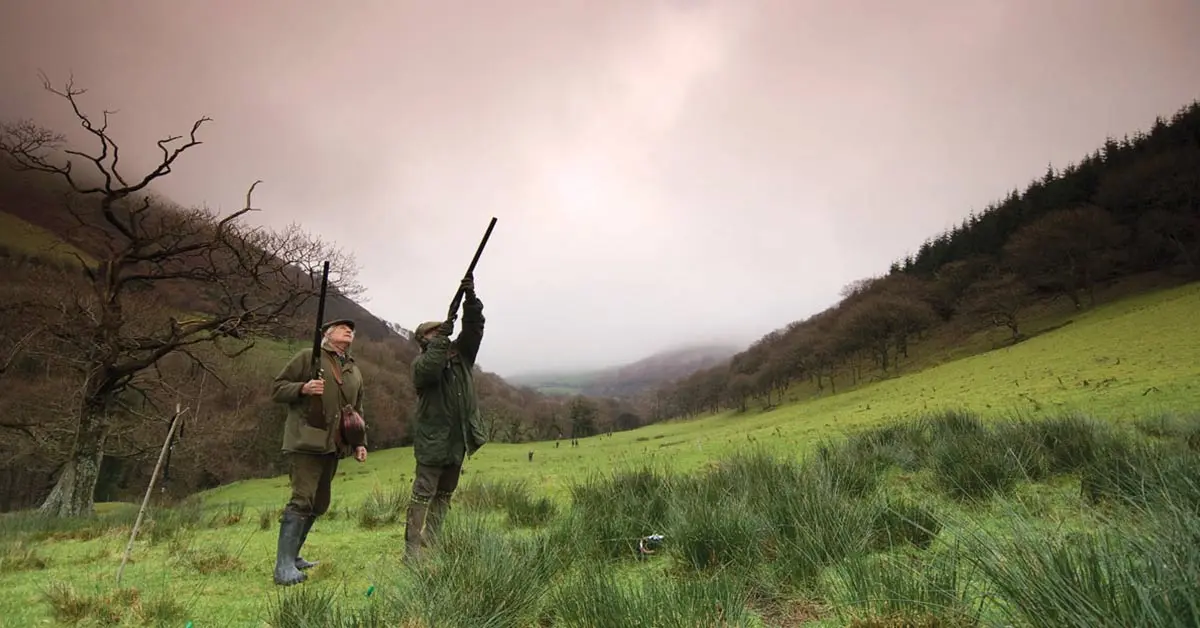 Bettws Hall - A Driven Dedication | Shooting Sportsman Magazine