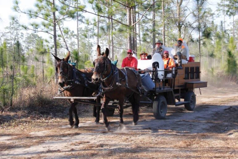 Wingshooting Trips - Readers & Writers Adventures - Shooting Sportsman ...