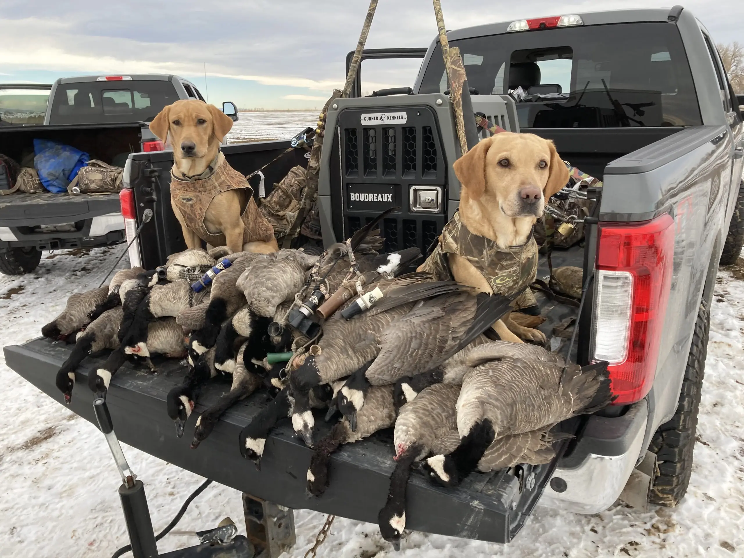 Grant and Scout - Shooting Sportsman