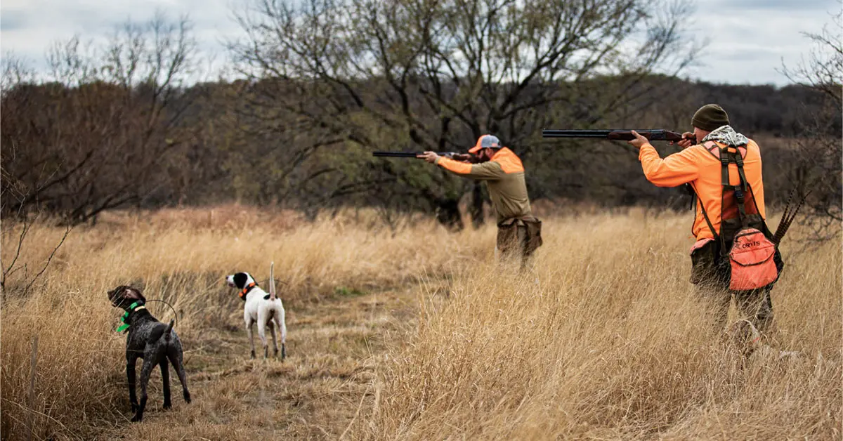A Kingdom of Birds - Shooting Sportsman Magazine
