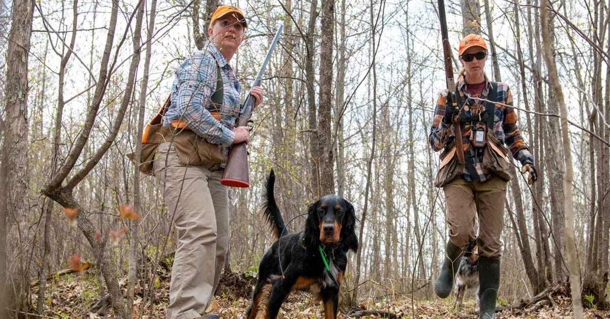 Overcoming In-Season Obstacles With Your Bird Dog