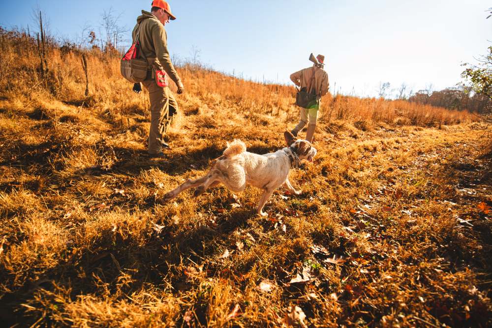 Prime Time at The Preserve at Crooked Run - Shooting Sportsman