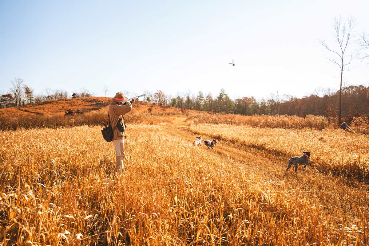Prime Time at The Preserve at Crooked Run - Shooting Sportsman
