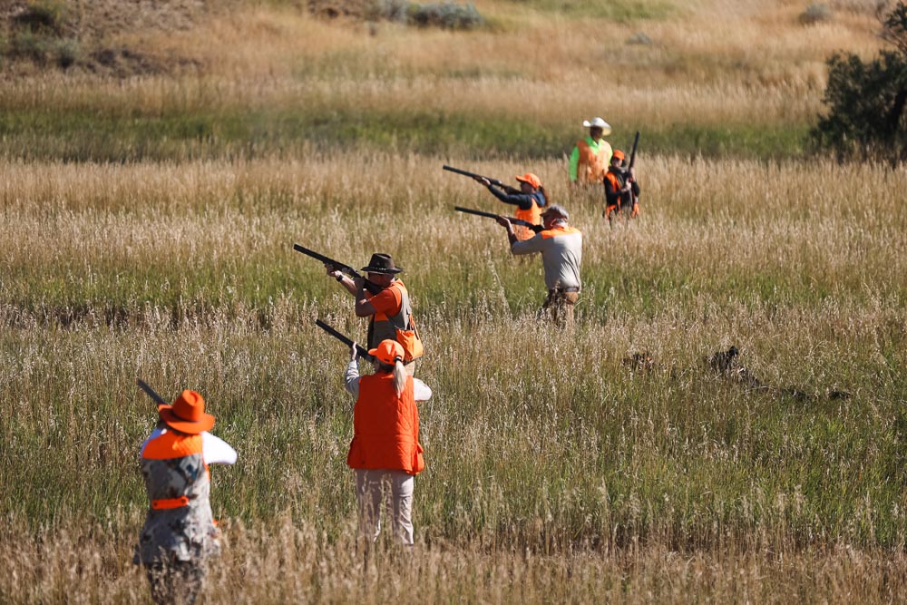 Frequently Asked Questions About Sweetgrass at Thunderbasin - Shooting ...